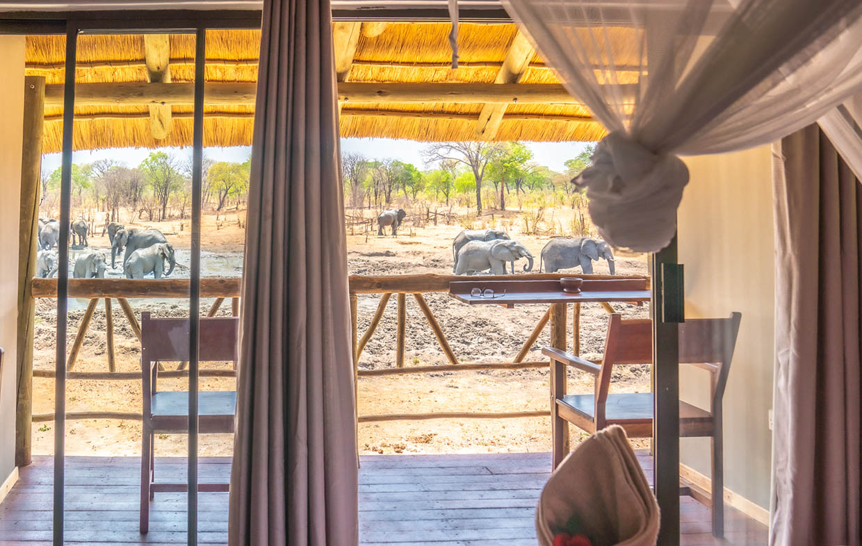 Chobe Mopani Forest Lodge – Best Accommodation in the Chobe Area
