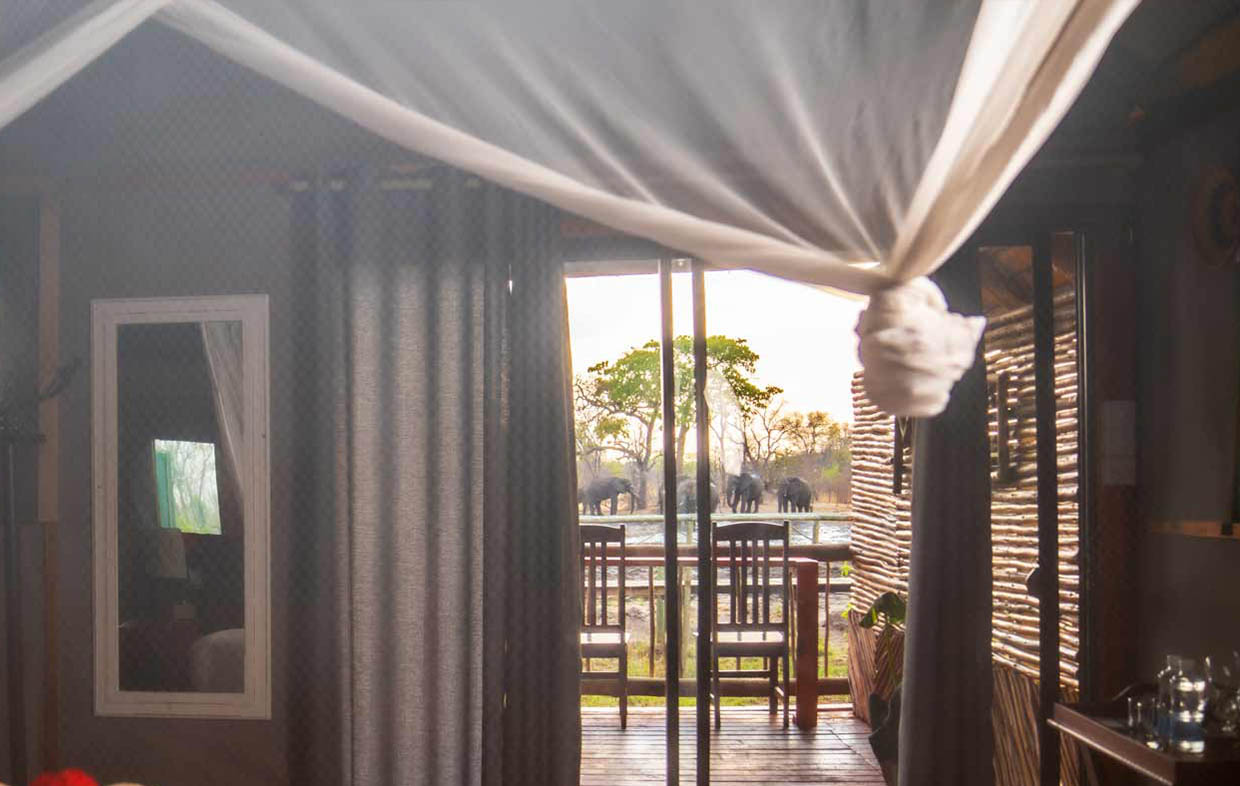 Chobe Mopani Forest Lodge – Best Accommodation in the Chobe Area