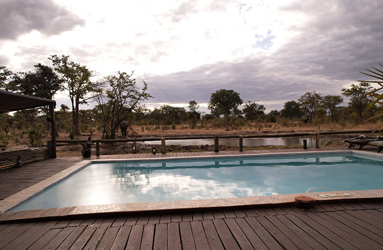 Gallery – Chobe Mopani Forest Lodge