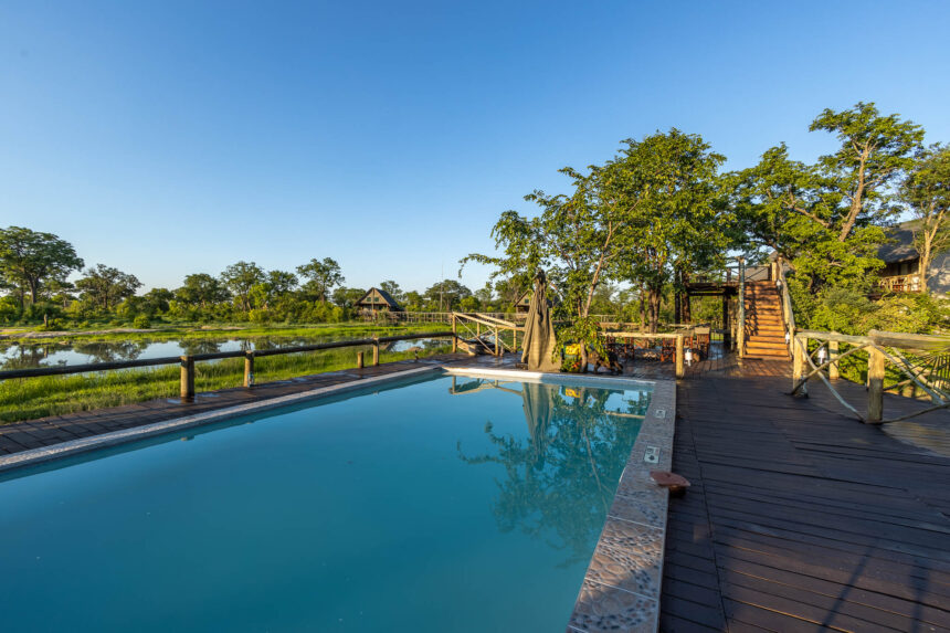 Gallery - Chobe Mopani Forest Lodge